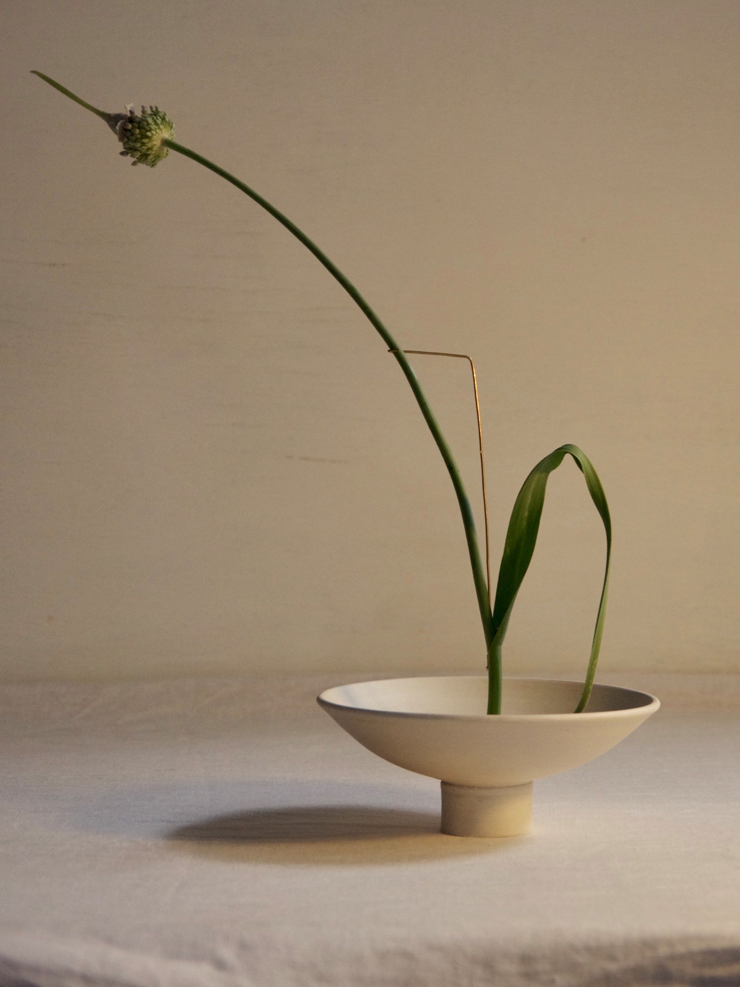 Assembly Label Summer Art Collections – Assembly Label International